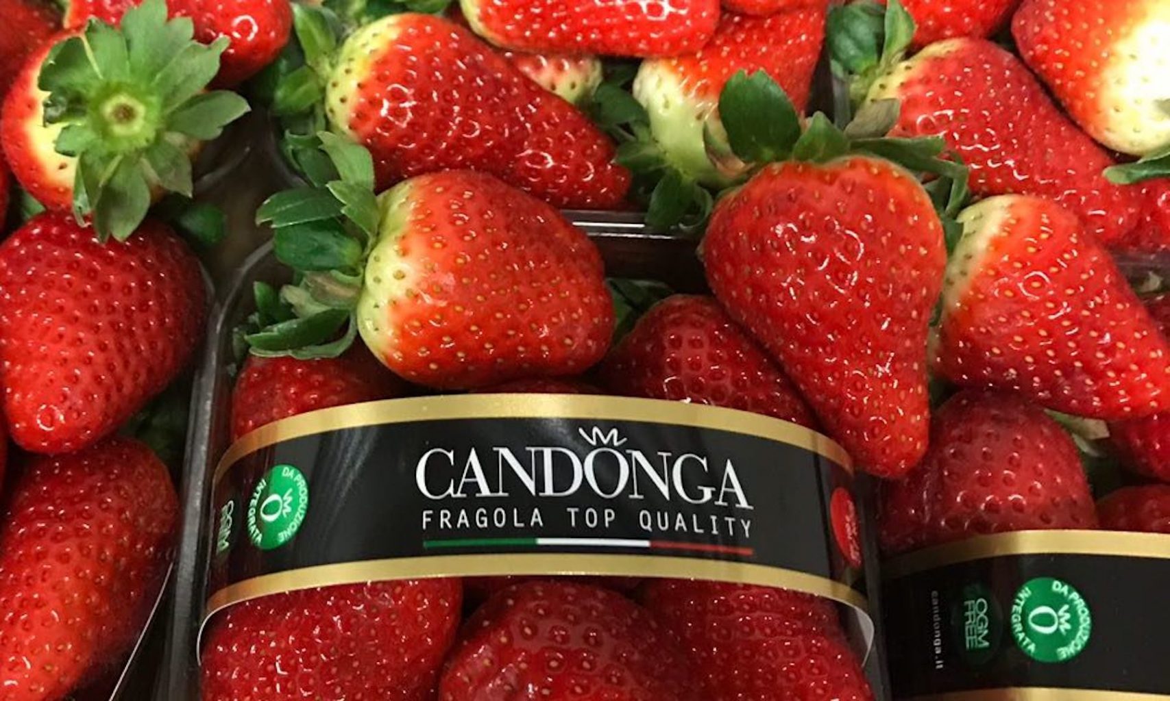 La Fragola - Passione Gourmet