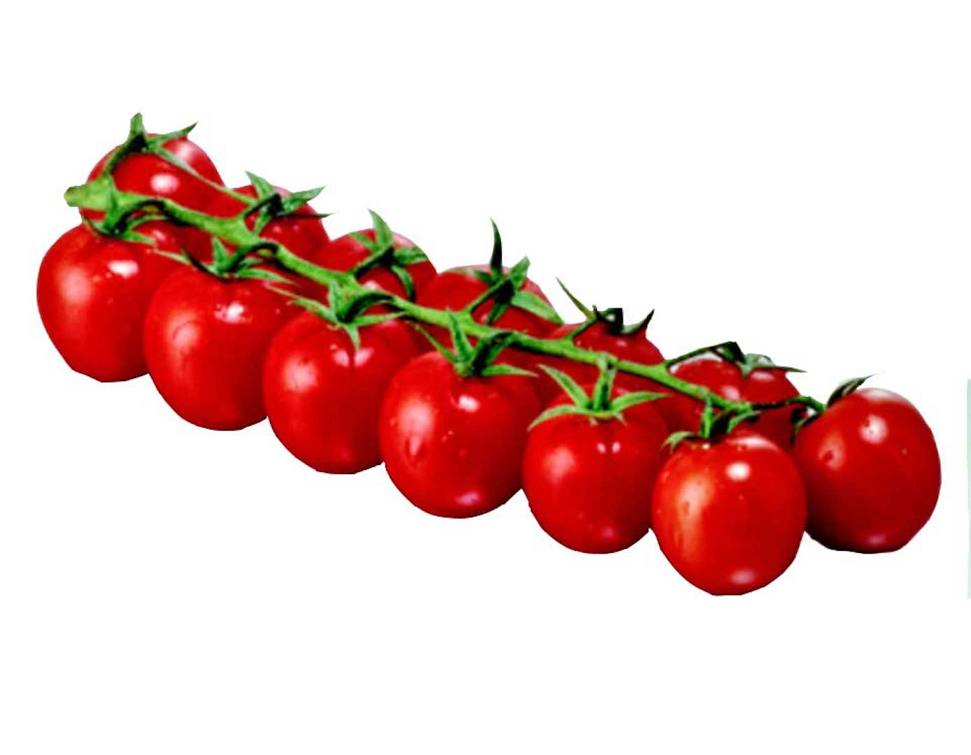 Pomodoro - Passione Gourmet