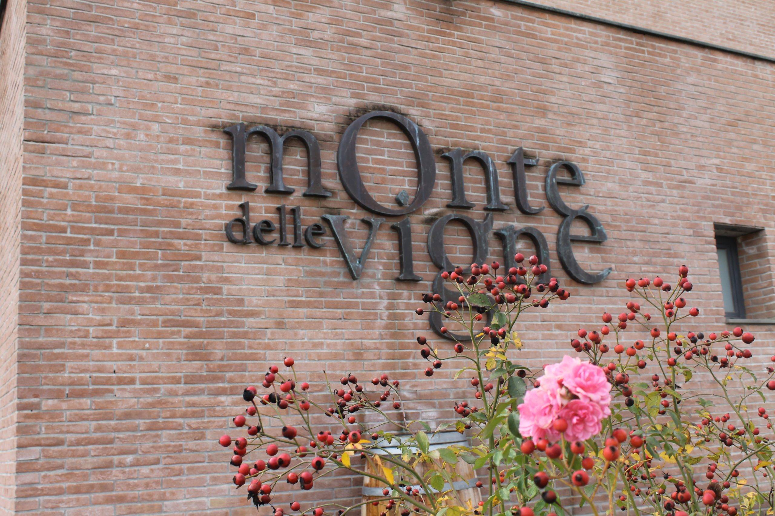 Monte delle Vigne - Passione Gourmet